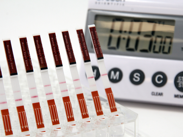 PROGNOSIS Lateral Flow